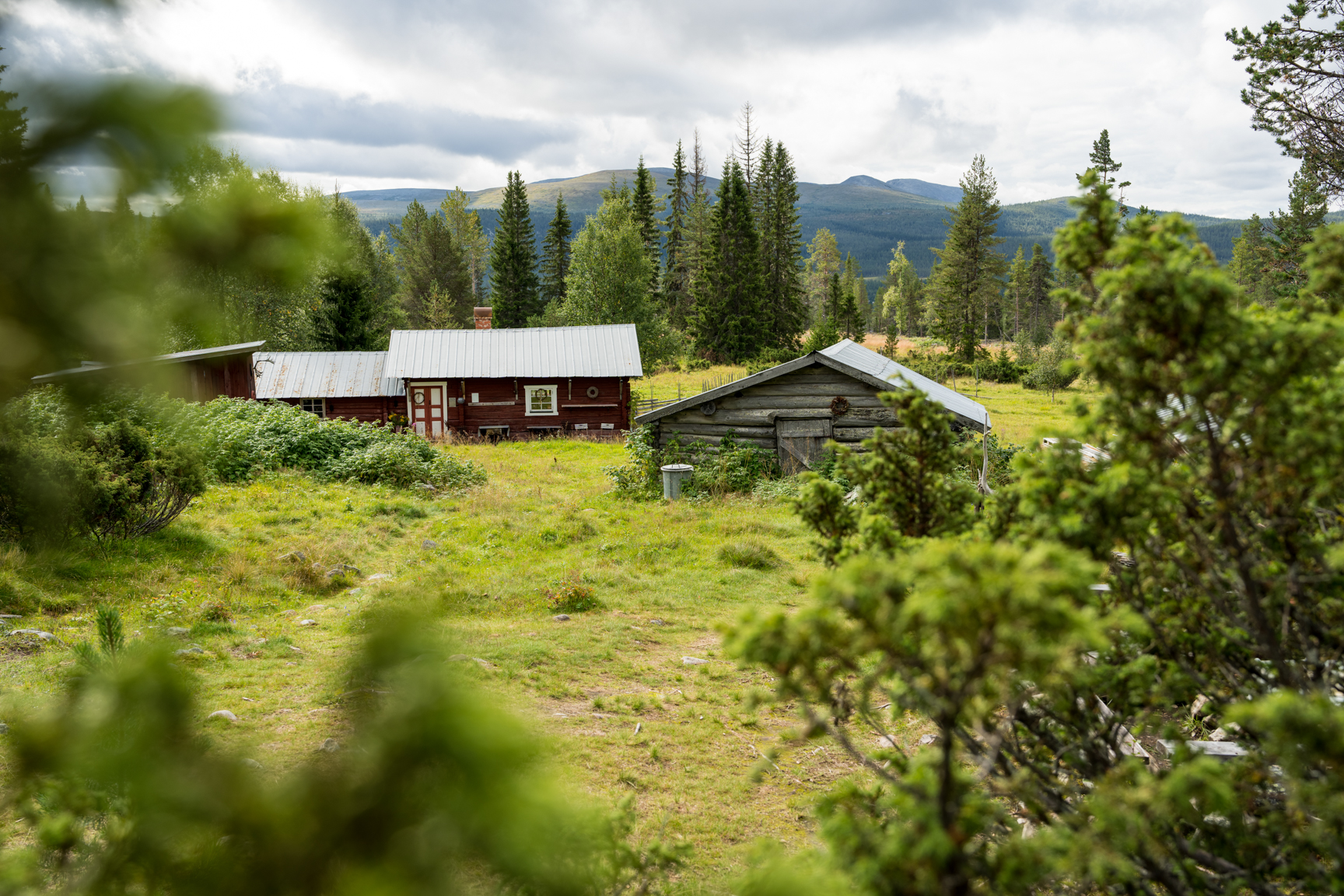 Uppvallens fäbod sommar | Lofsdalen